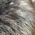 British Rare Breed Sheepskin Hide Unique Large 24100101RB – Wildash London