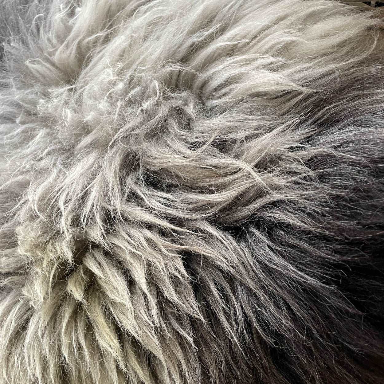 British Rare Breed Sheepskin Hide Unique Large 0602BRL02 – Wildash London