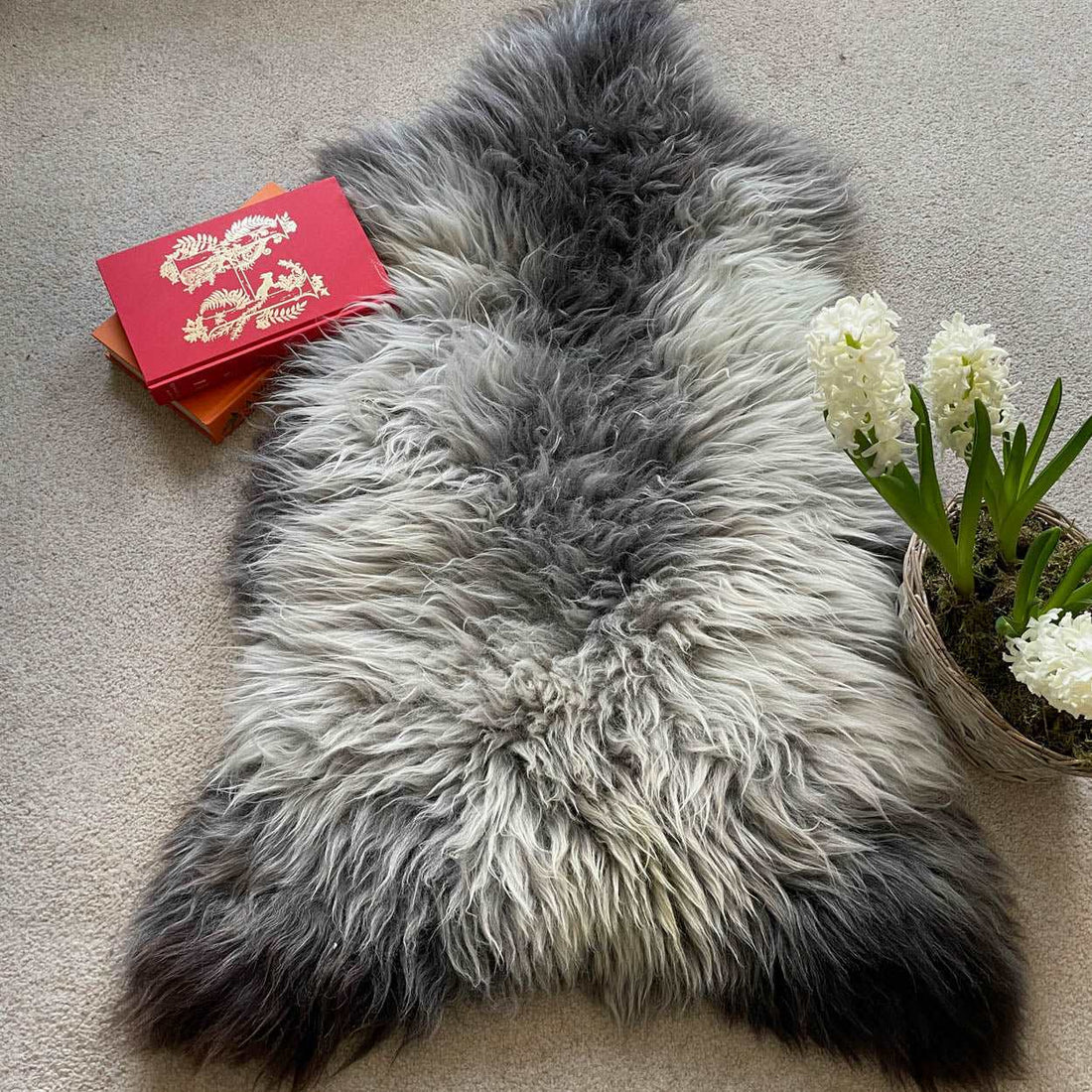 British Rare Breed Sheepskin Hide Unique Large 0602BRL02 – Wildash London